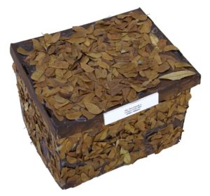 Art Collection | Barbados National Art Gallery